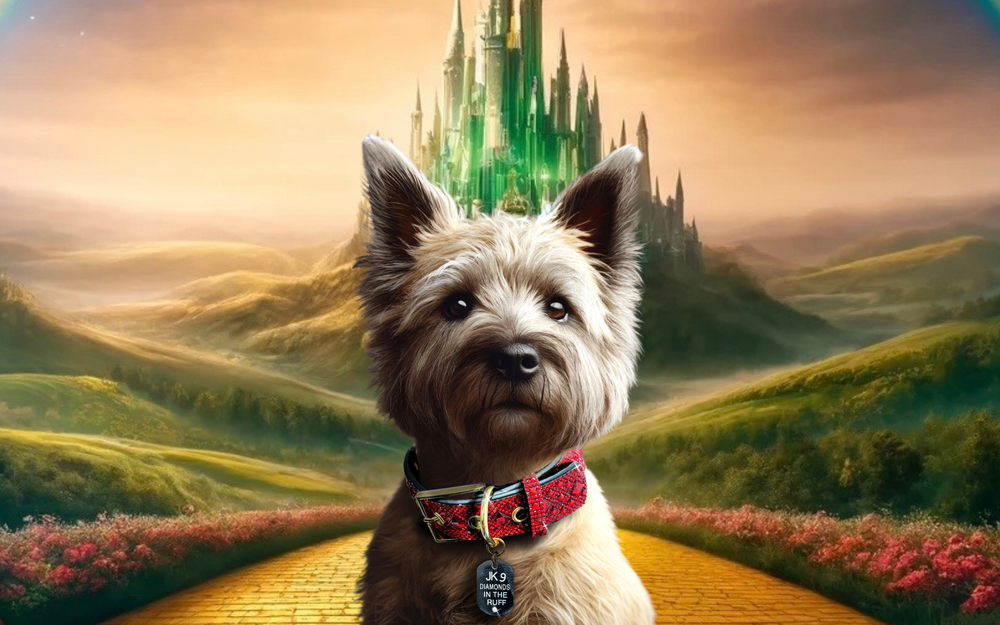 Jacqueline Kent - Elegant Jewelry, Accessories & Tumblers